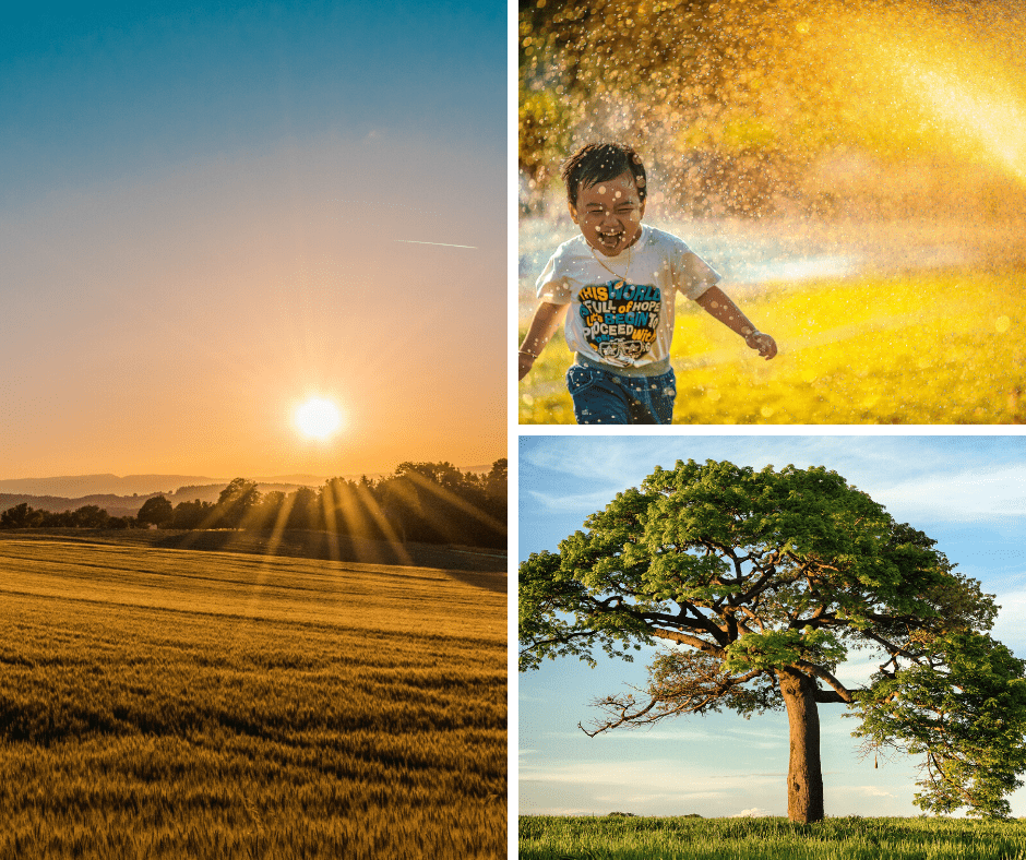 The Transitions Approach to Design: Health, Happiness, Nature + Space